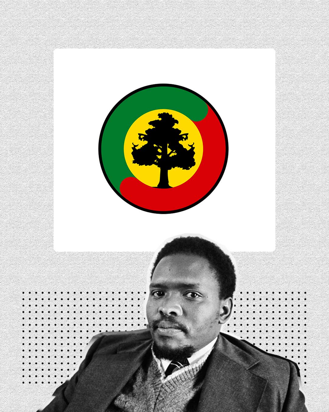 Quilombo educacional Steve Biko